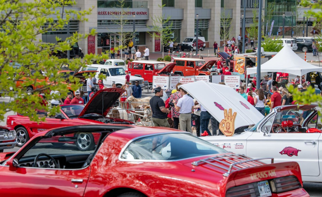 Razorbacks Set for Action-Packed Red-White Football Game Day - BVM Sports