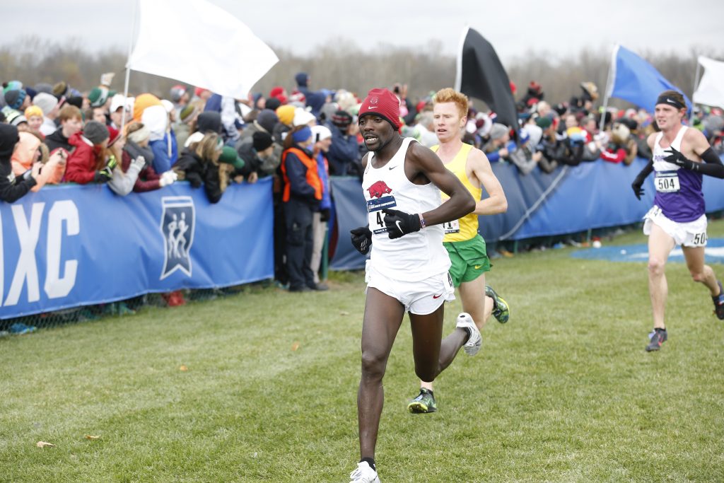 Look Back At The Top Moments From NCAAs | Arkansas Razorbacks