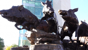 Traditions | Arkansas Razorbacks