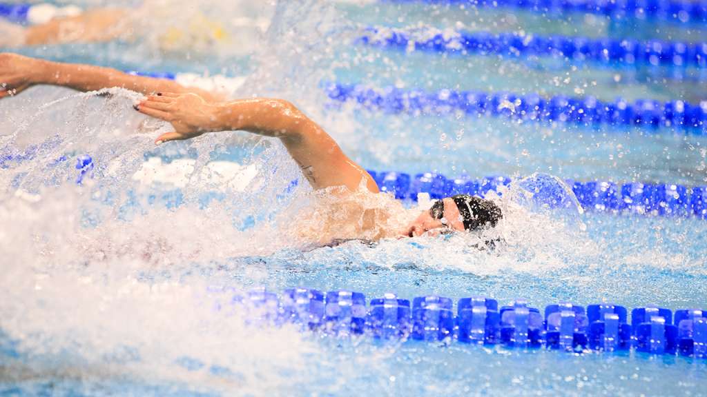 Swimming & Diving | Arkansas Razorbacks