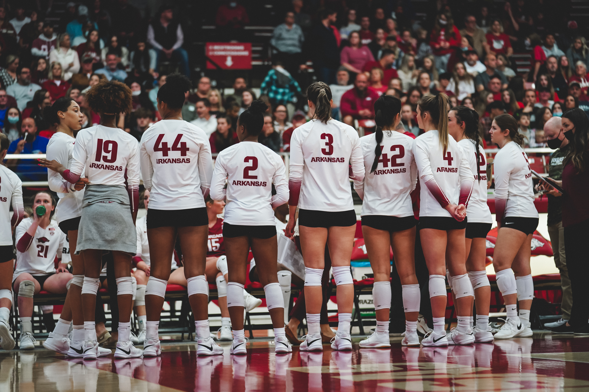Razorbacks Set to Begin Postseason Play in NIVC | Arkansas Razorbacks