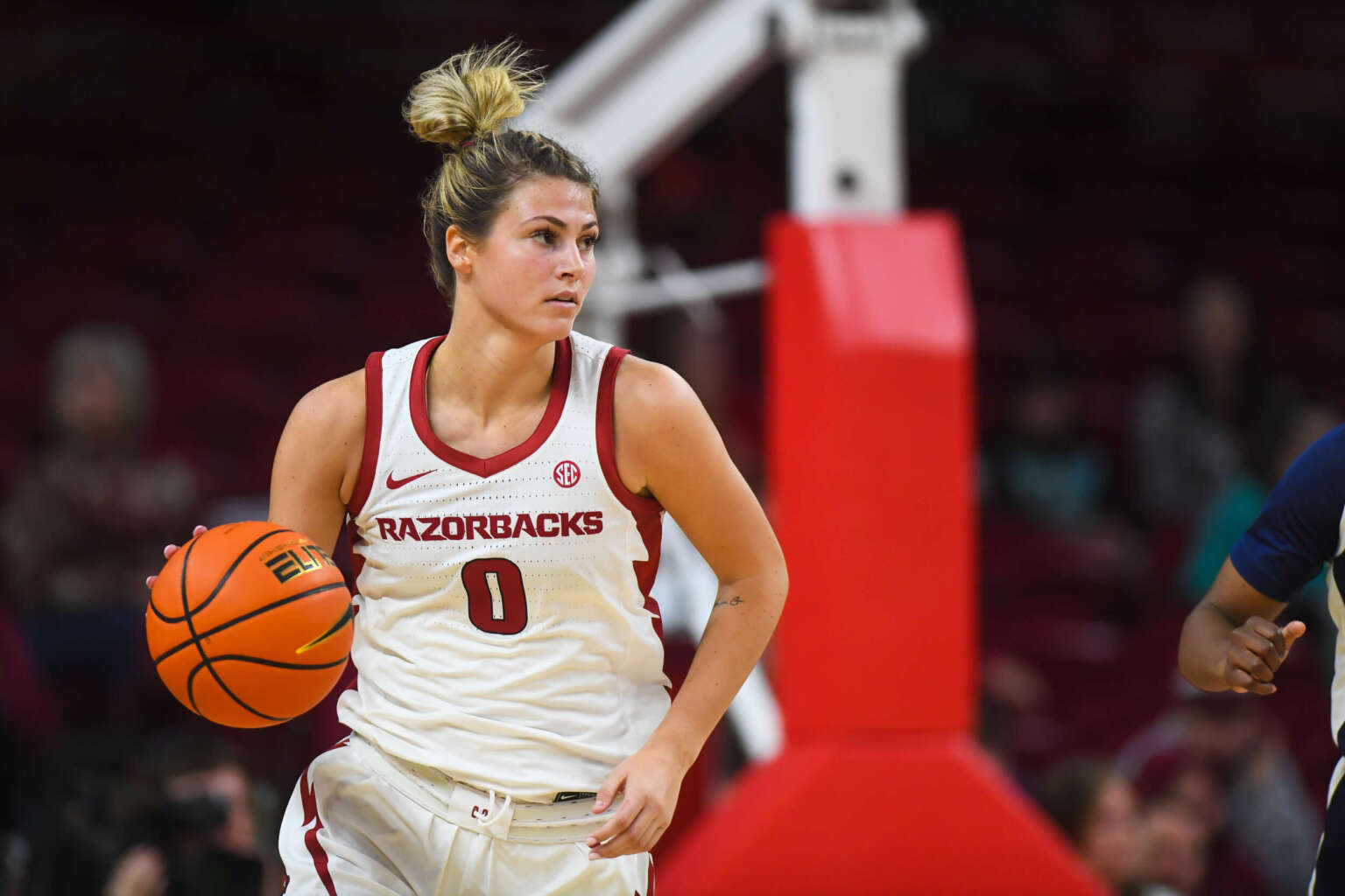 Razorback Brew 1/11: Pack The Palace | Arkansas Razorbacks