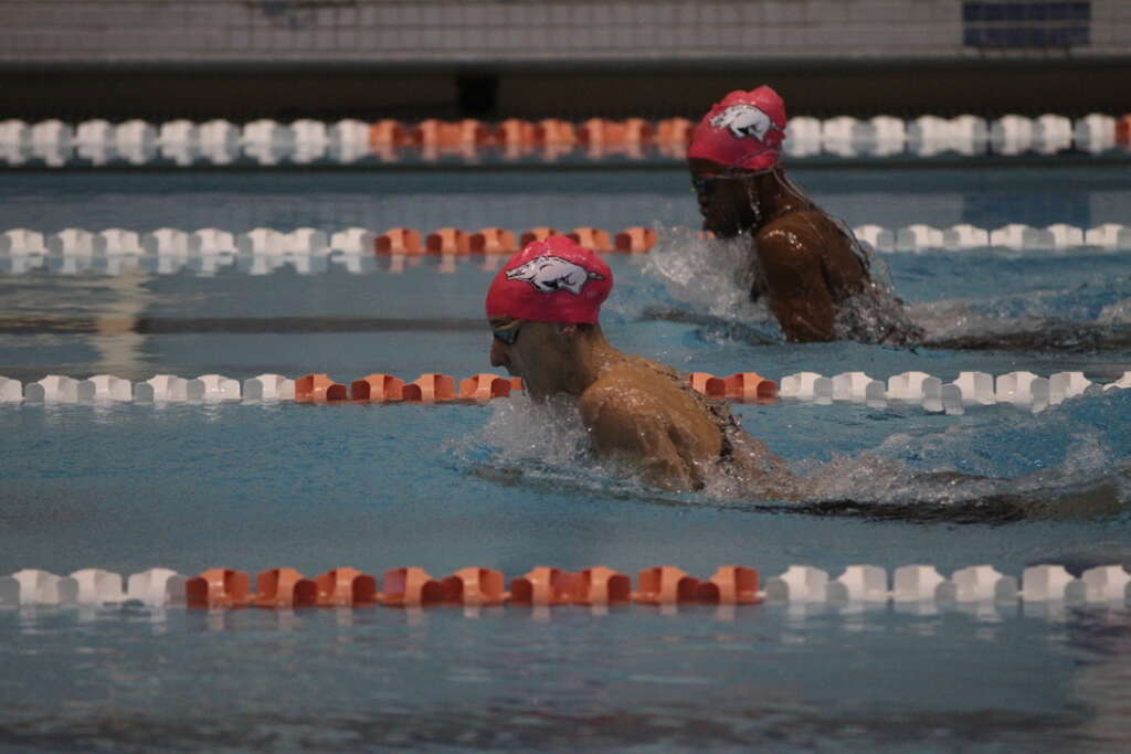 Swimming & Diving | Arkansas Razorbacks