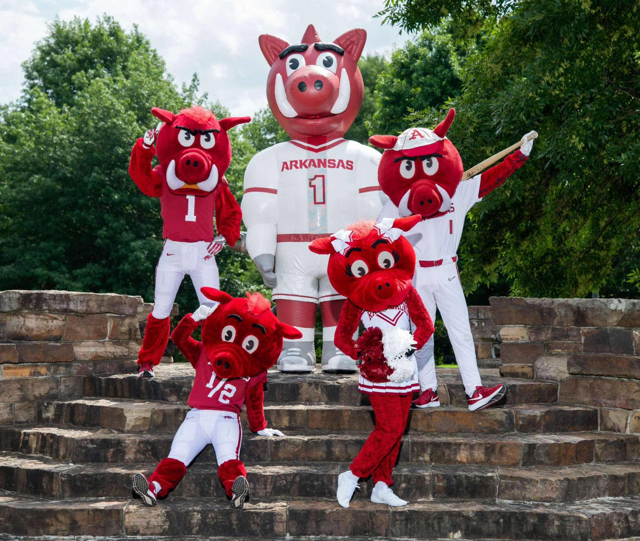 Mascot Tryout Information | Arkansas Razorbacks