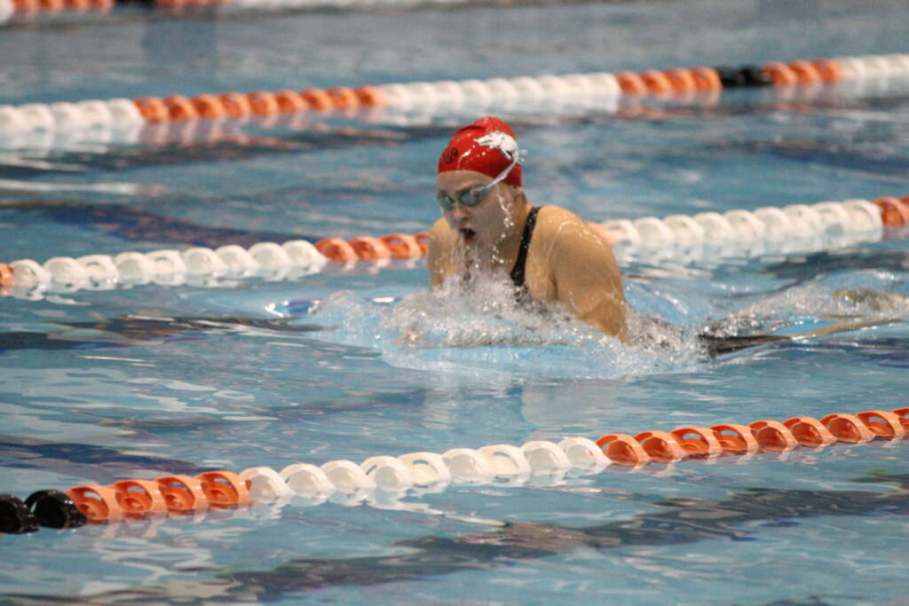 Swimming & Diving | Arkansas Razorbacks